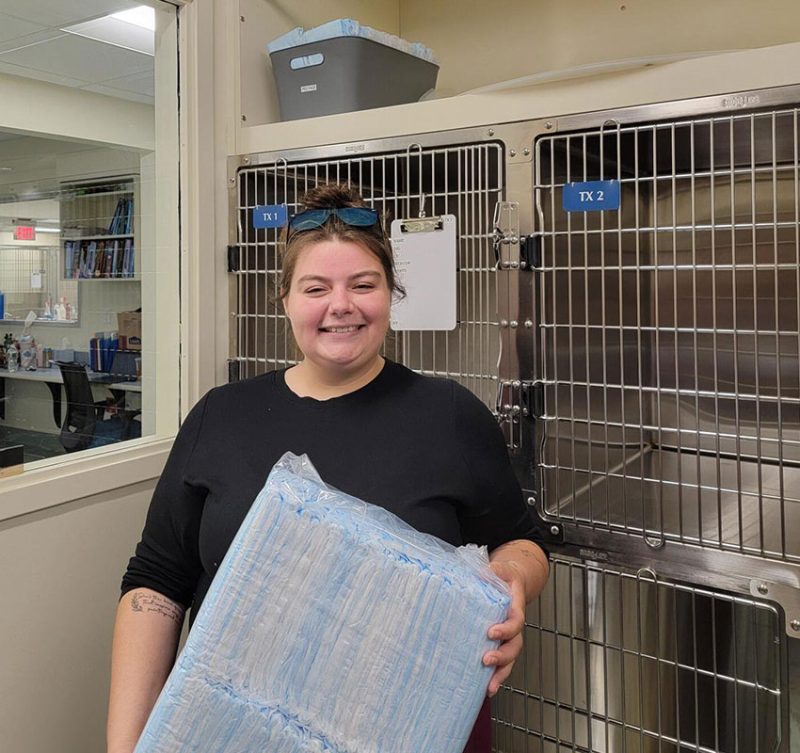 Veterinarian in Swansea | Vet Near You | Bay State Veterinary Emergency ...