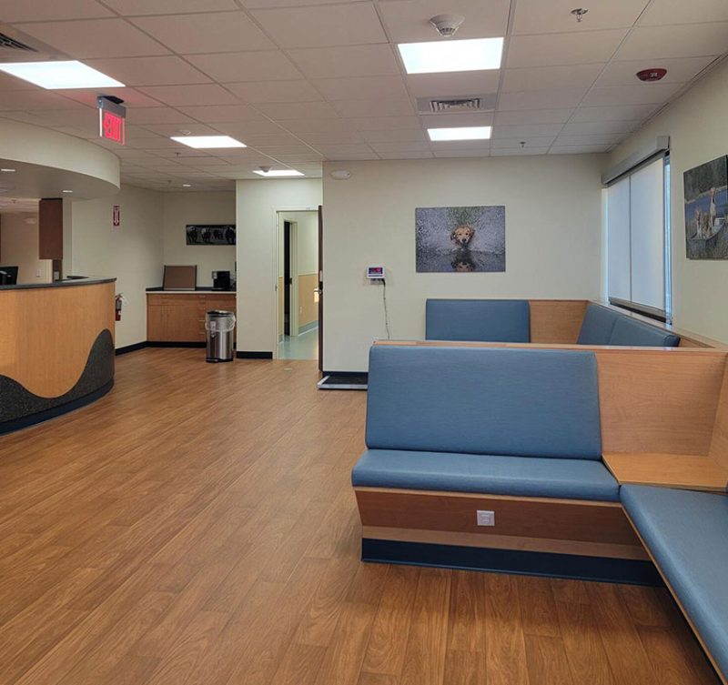 Veterinarian in Swansea | Vet Near You | Bay State Veterinary Emergency ...