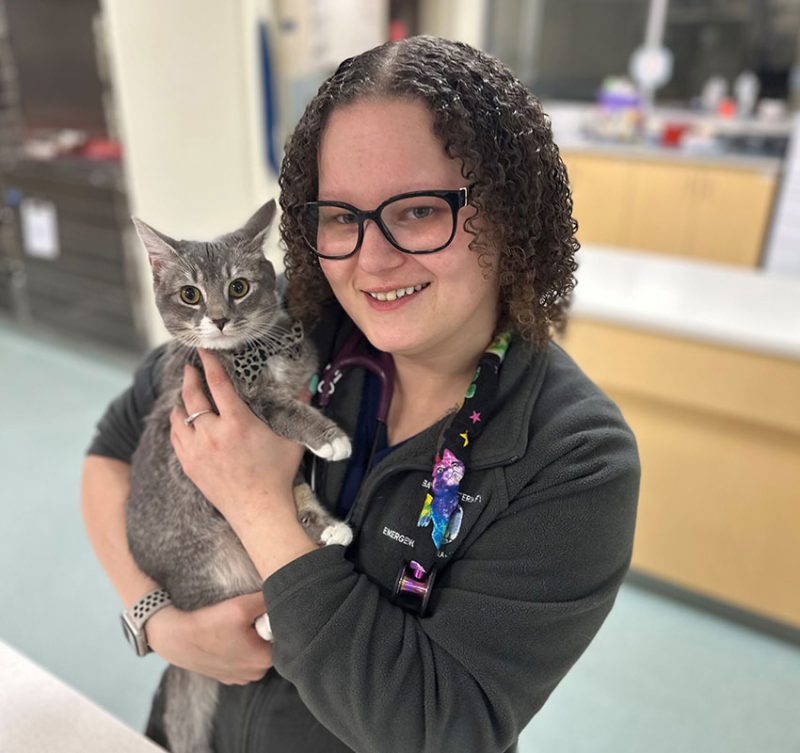 Emergency/Critical Care | Vet in Swansea | Bay State Veterinary ...